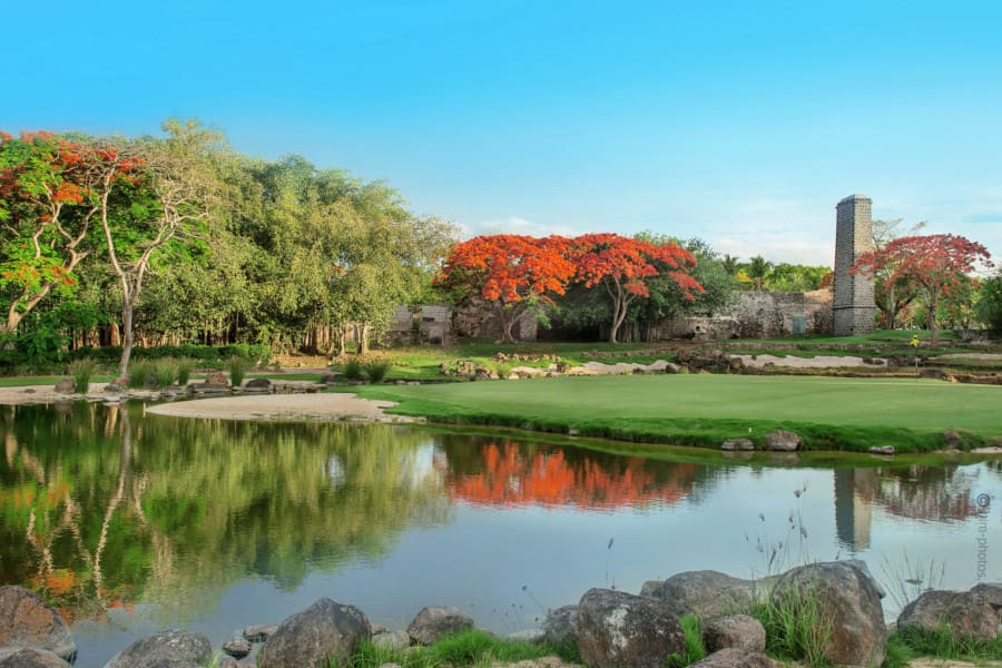 Luxury Estates Mauritius - Lexpress Property