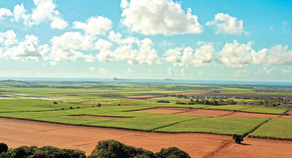 Mont Piton Residential Estate: your dream home amidst nature - Lexpress ...