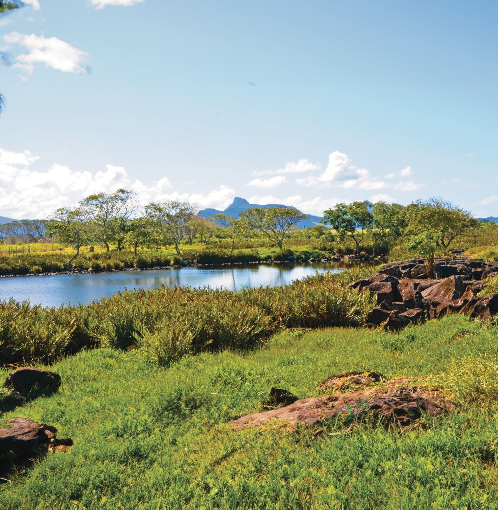 Pointe d’Esny Le Village: committed to preserving and restoring wetland ...