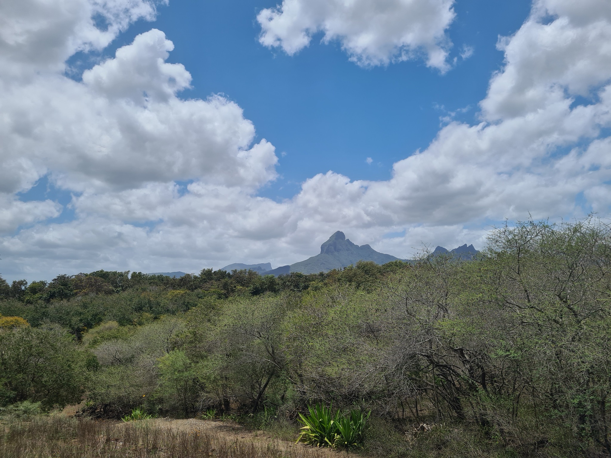 Residential land - Buy in Tamarin - 105,150,000 rupees | Lexpress Property