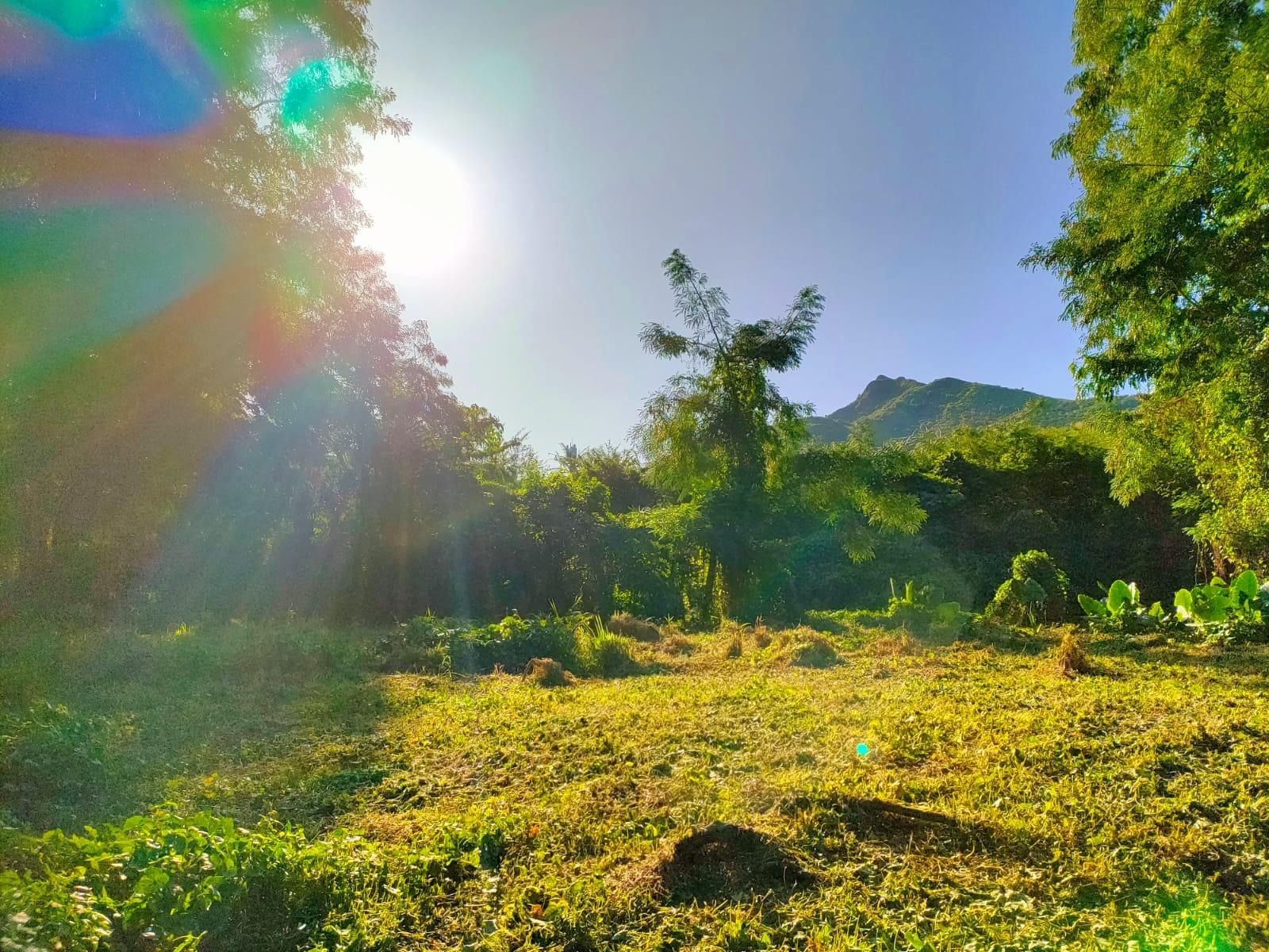 Terrain résidentiel - Achat / Vente à Rivière Noire - 22,000,000 rupees ...