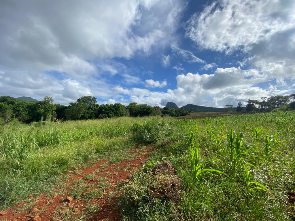 Terrain résidentiel - Achat / Vente à Montagne Longue - 25,000,000 ...