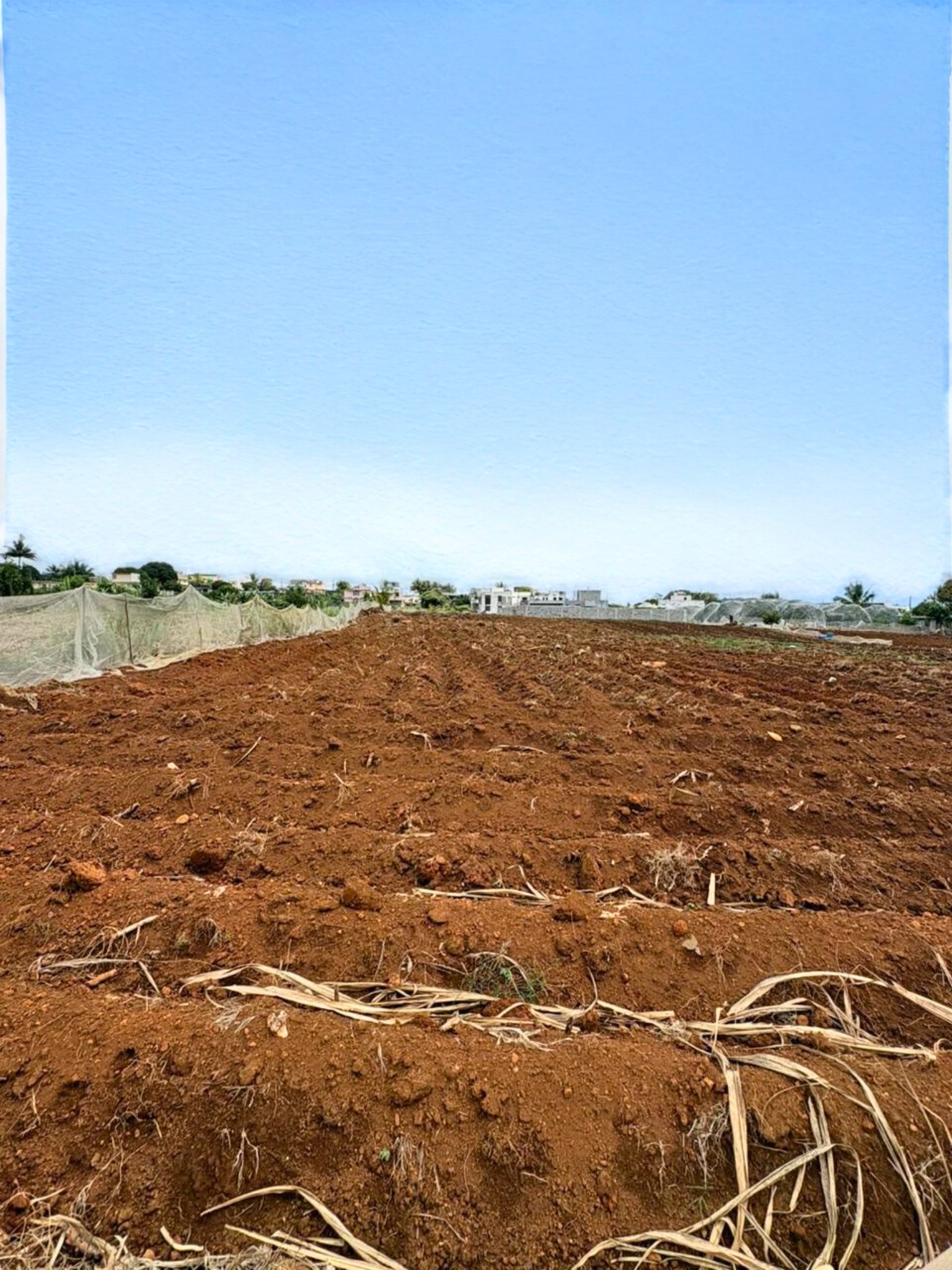 Residential land - Buy in Lallmatie - 7,500,000 rupees | Lexpress Property