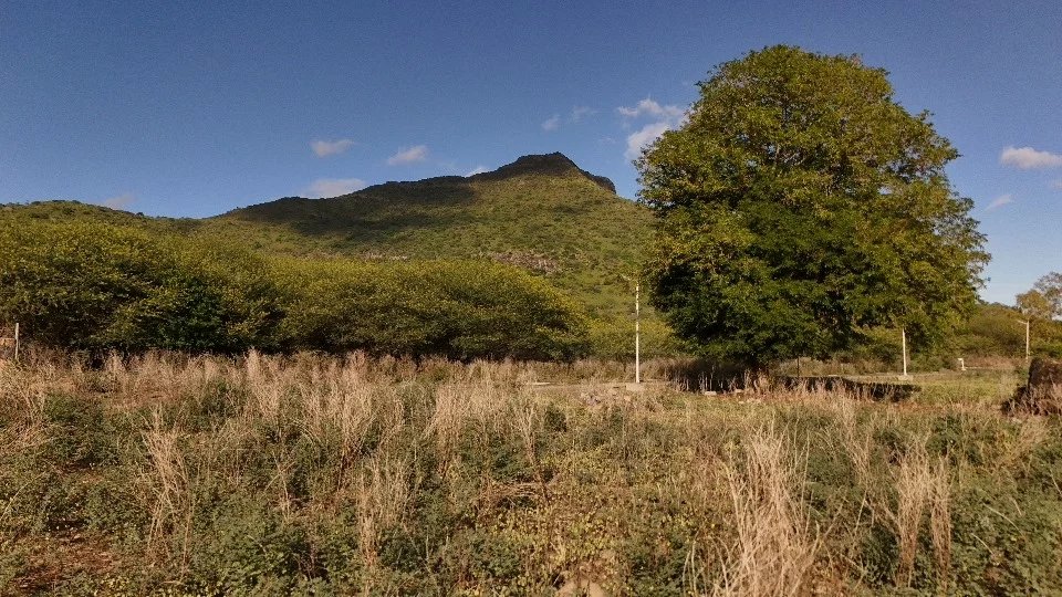 Residential land - Buy in Tamarin - 12,800,000 rupees | Lexpress Property