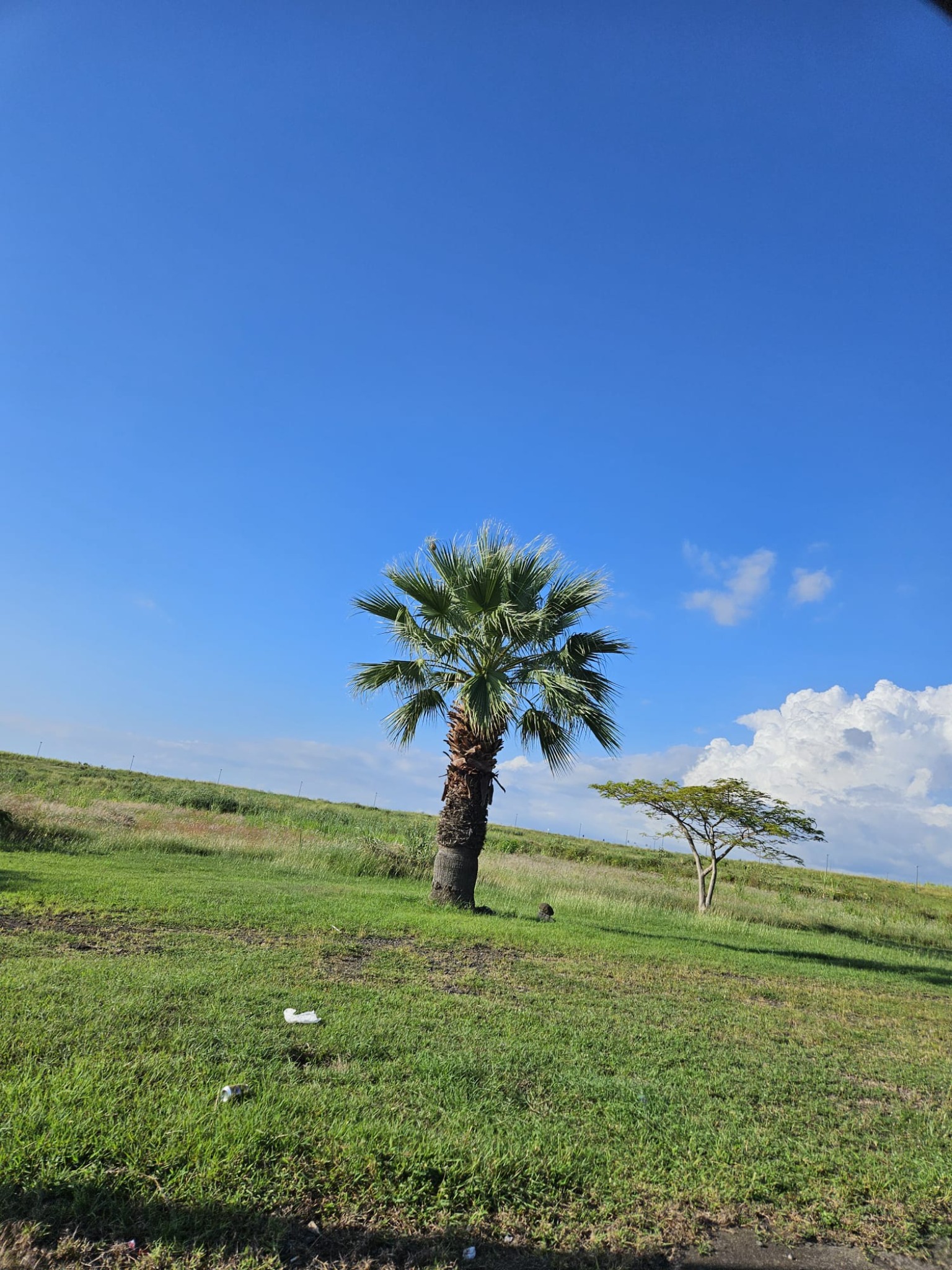 Terrain résidentiel - Achat / Vente à Lallmatie - 1,825,000 rupees ...