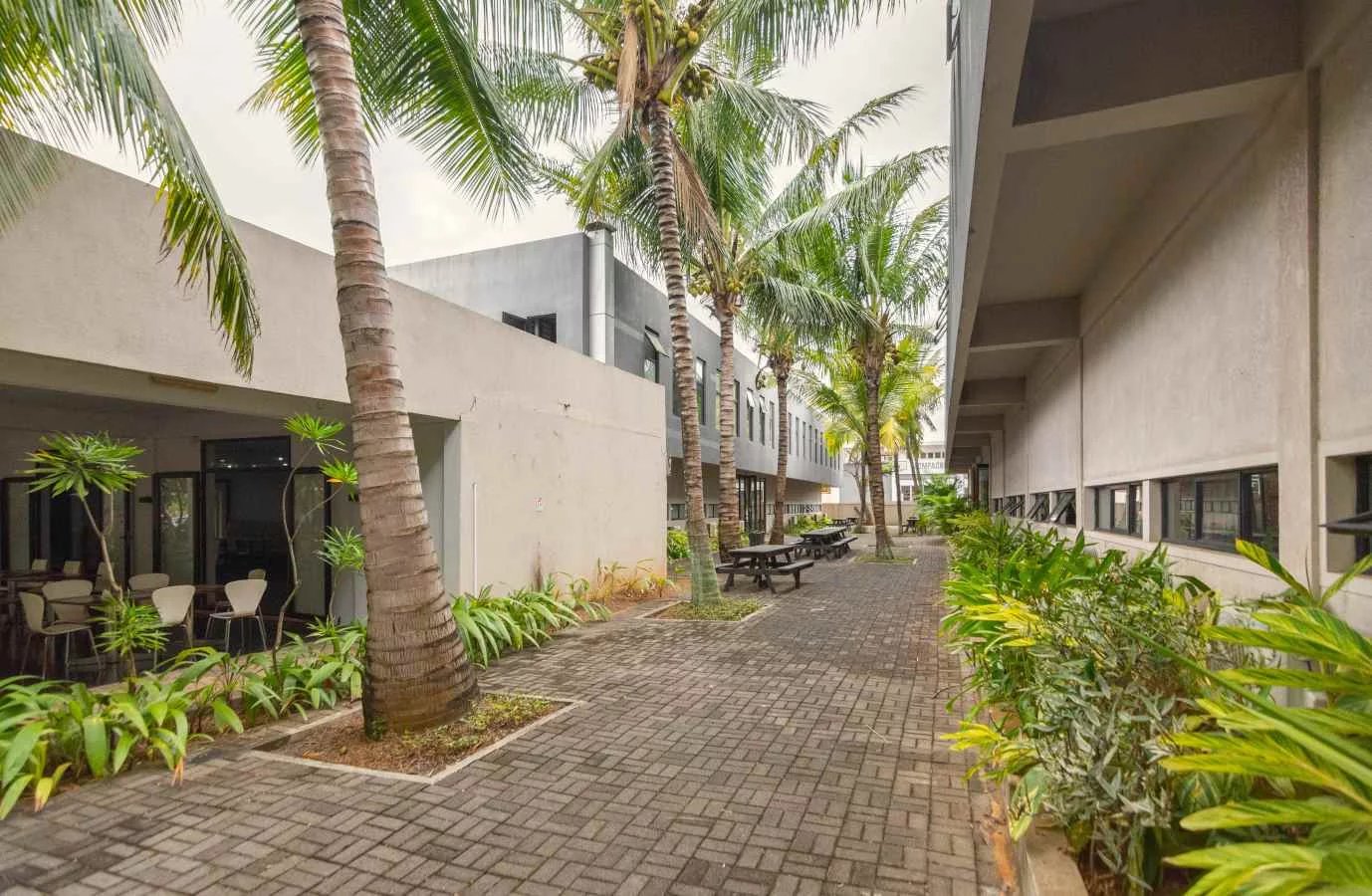 Commercial space - For Rent in Beau Plan - 22,000 rupees | Lexpress ...