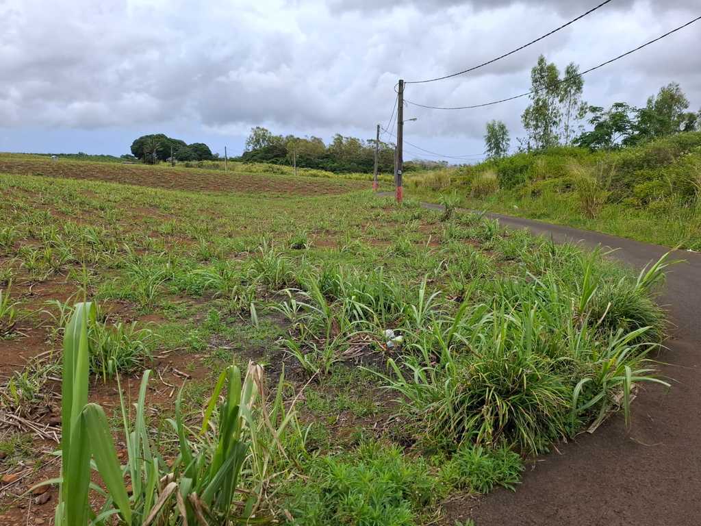 Agricultural land - Buy in Lallmatie - 8,400,000 rupees | Lexpress Property