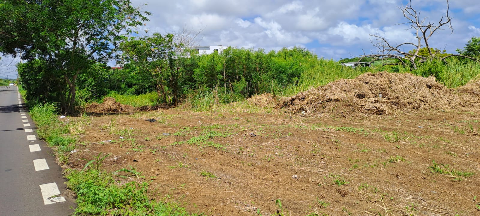 Residential land - Buy in Mont Mascal - 80,000,000 rupees | Lexpress ...