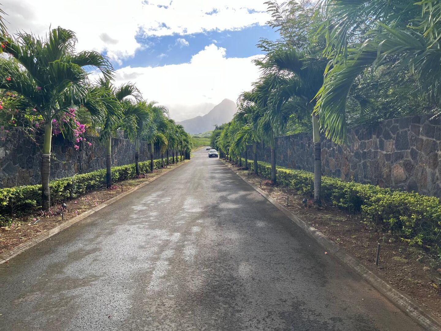 Residential land - Buy in Tamarin - 9,200,000 rupees | Lexpress Property