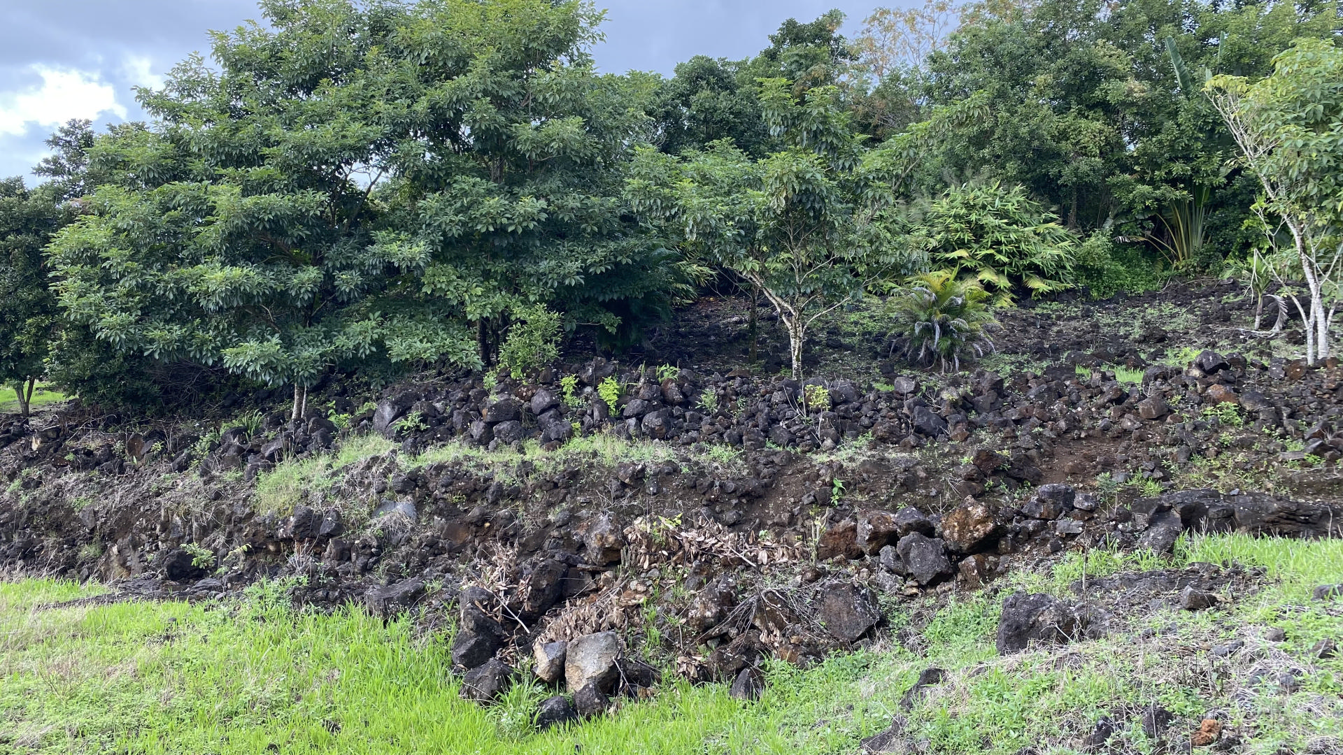 Agricultural land - Buy in Lallmatie - 7,500,000 rupees | Lexpress Property