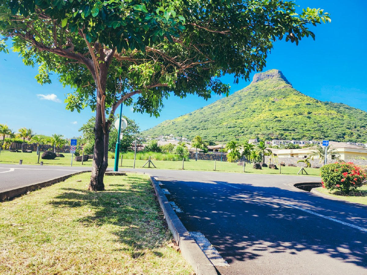 Residential land - Buy in Tamarin - 10,500,000 rupees | Lexpress Property