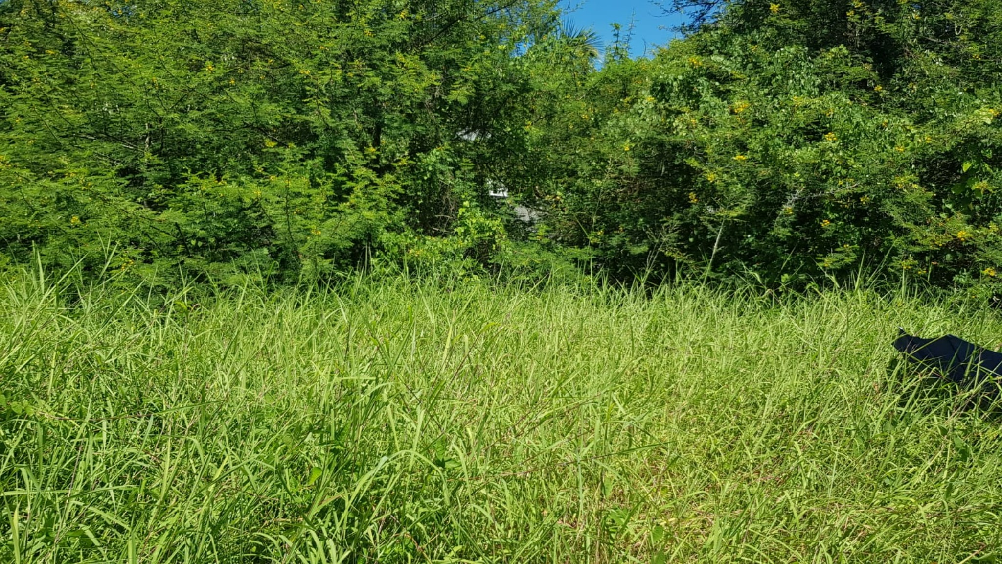 Residential land - Buy in Tamarin - 9,500,000 rupees | Lexpress Property