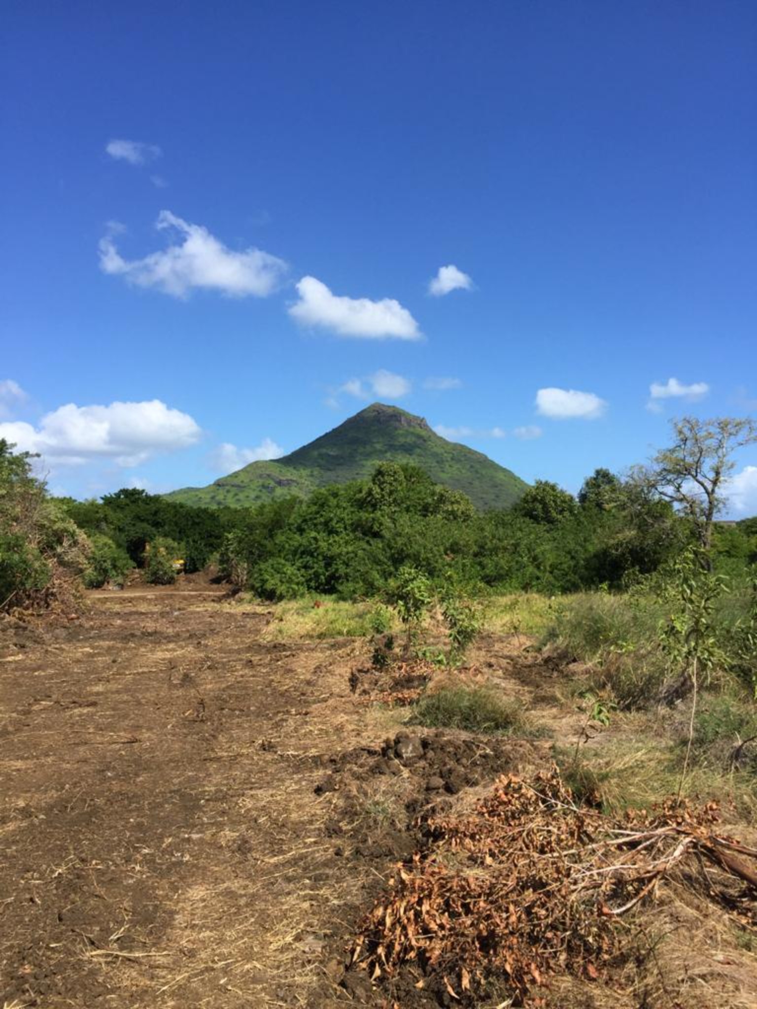 Residential land - Buy in Tamarin - 13,500,000 rupees | Lexpress Property