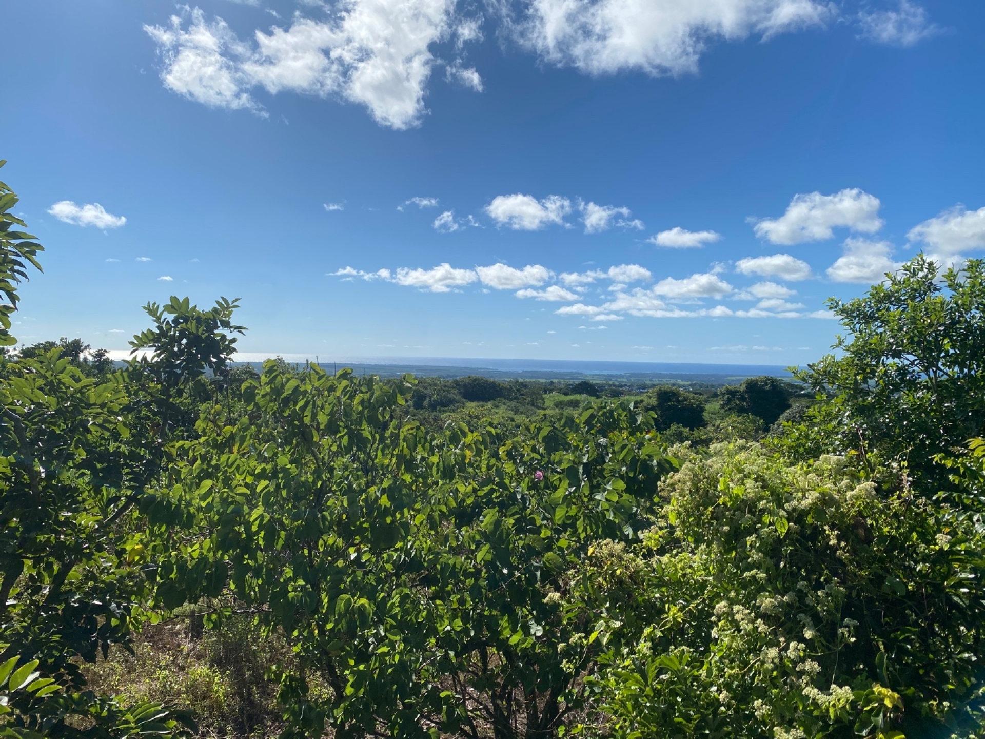 Agricultural land - Buy in Lallmatie - 25,000,000 rupees | Lexpress ...