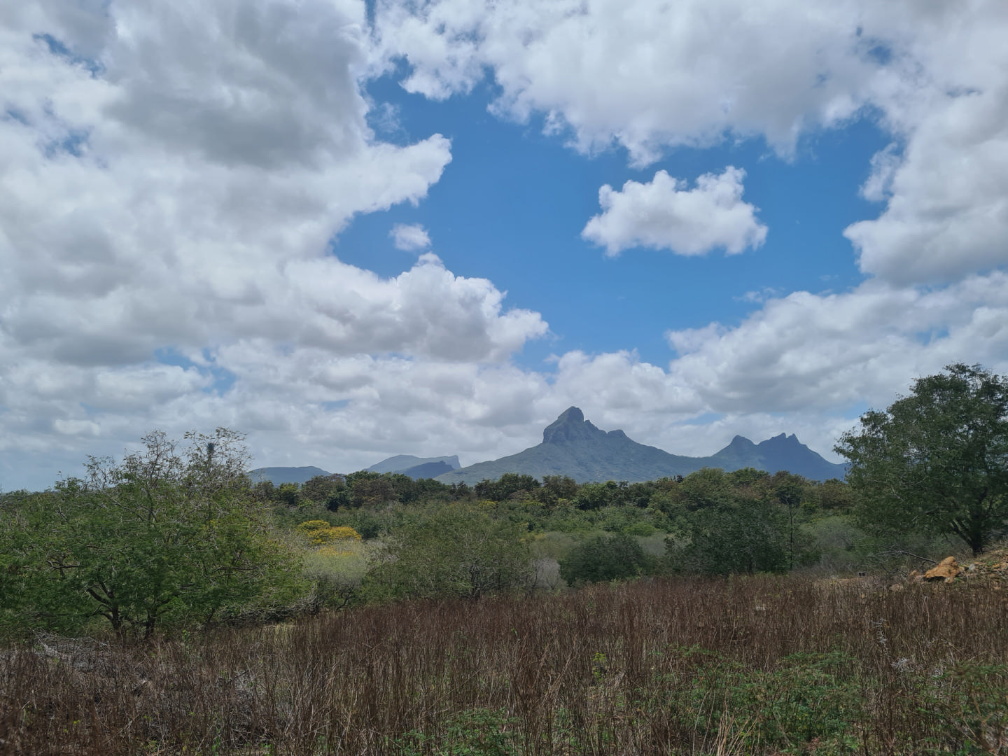 Residential land - Buy in Tamarin - 105,150,000 rupees | Lexpress Property