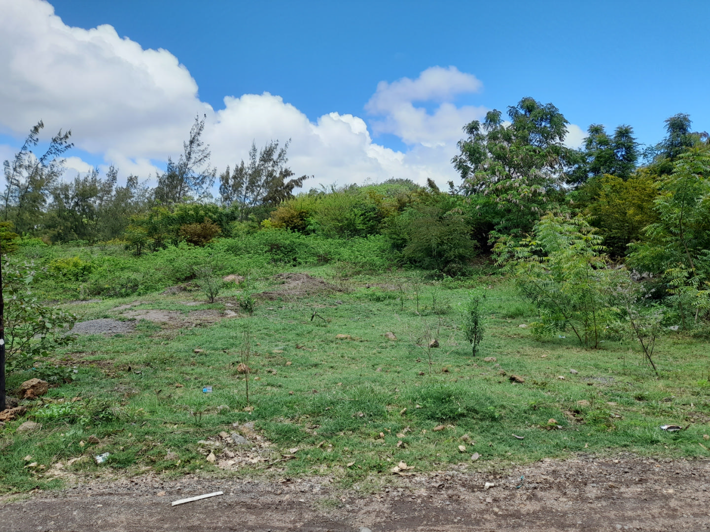 Terrain agricole - Achat / Vente à Melville - 15,000,000 rupees ...