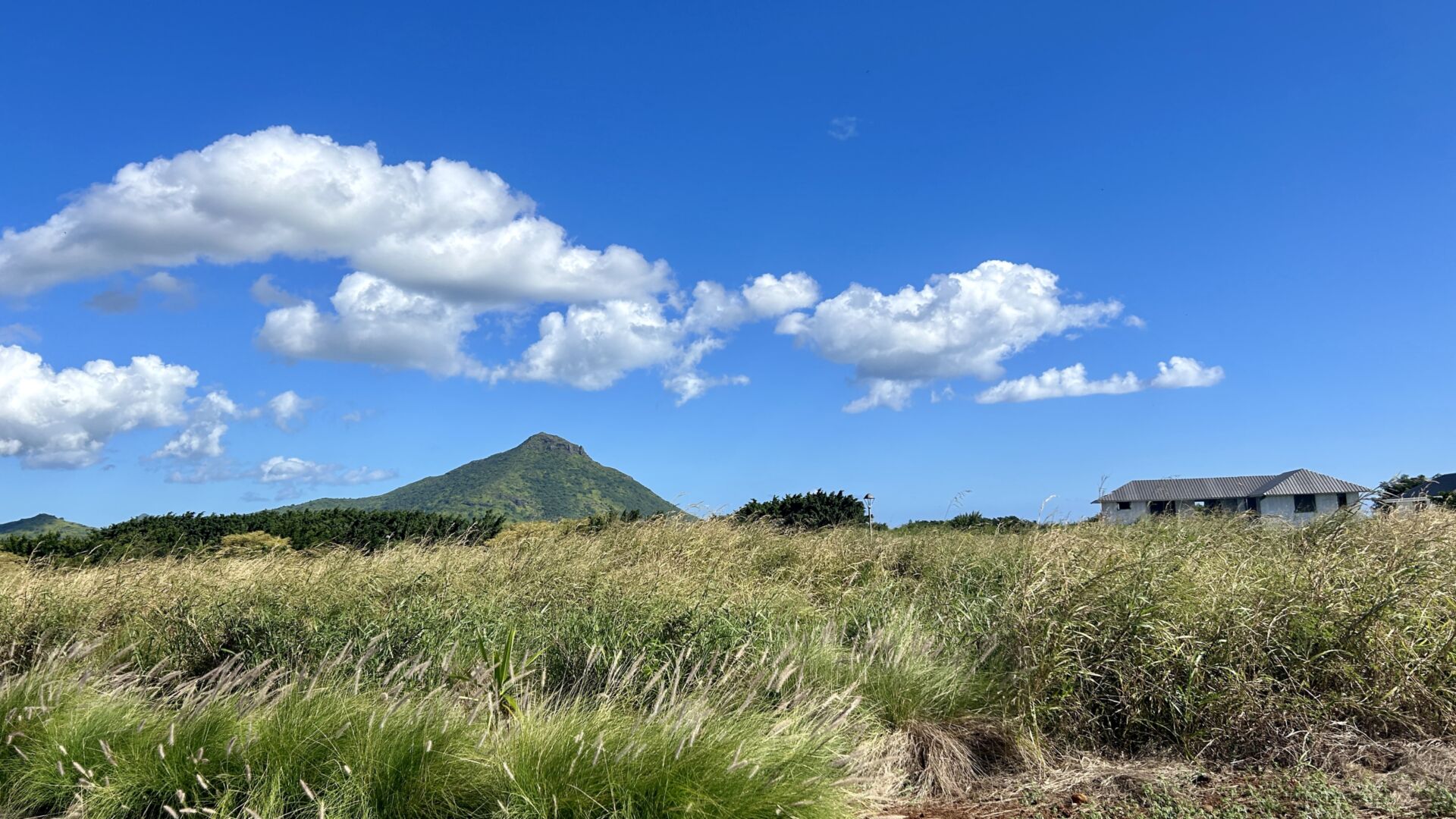 Residential land - Buy in Tamarin - 9,600,000 rupees | Lexpress Property