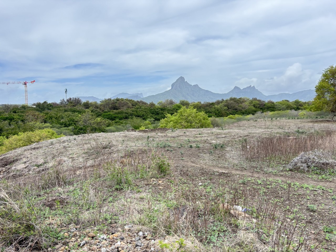 Residential land - Buy in Tamarin - 13,000,000 rupees | Lexpress Property