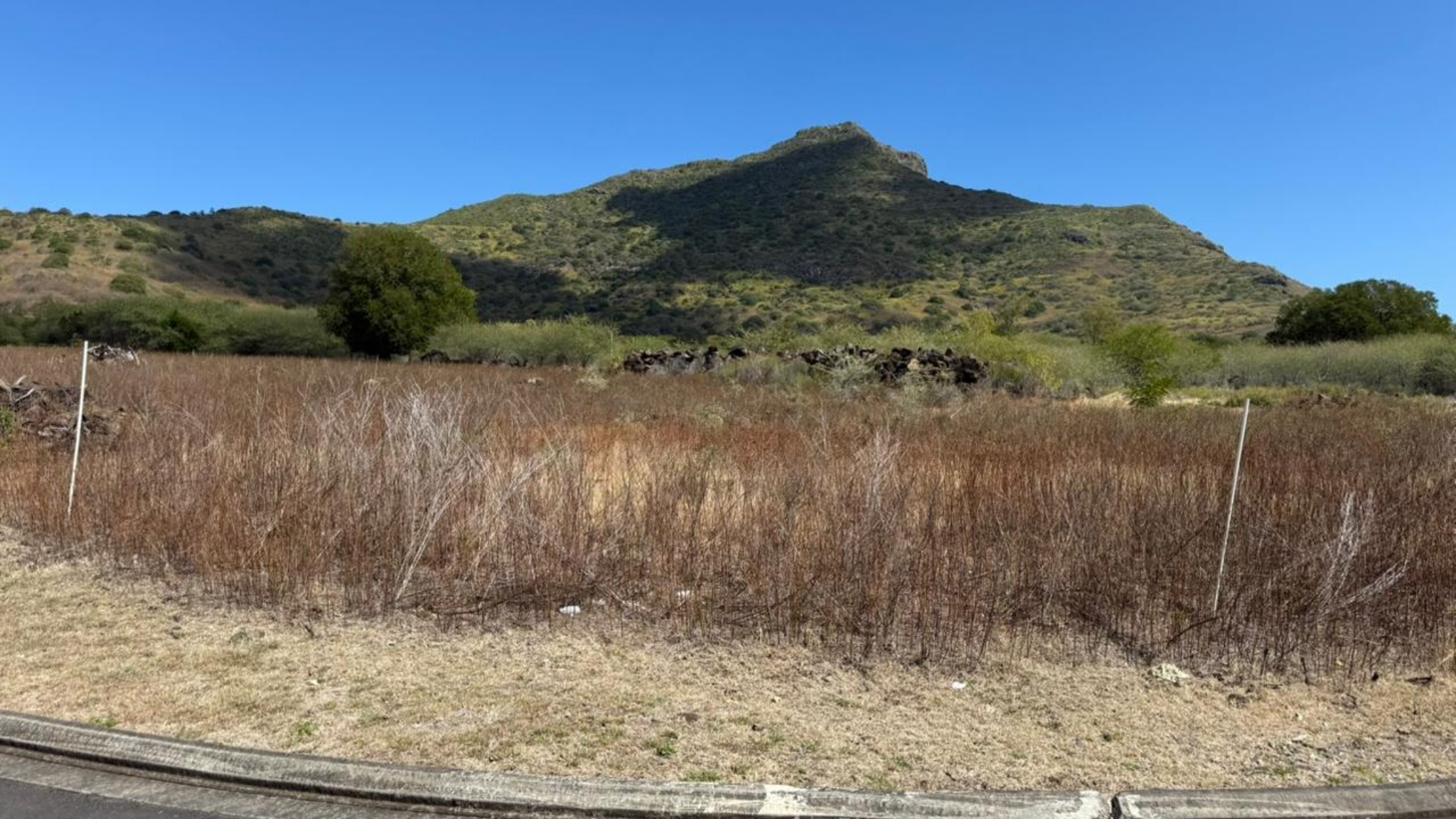 Residential land - Buy in Tamarin - 13,000,000 rupees | Lexpress Property