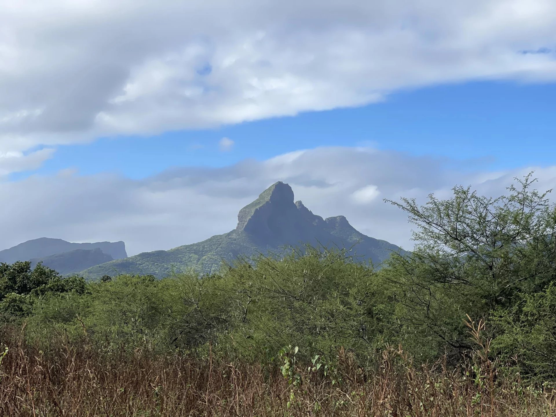 Residential land - Buy in Tamarin - 105,150,000 rupees | Lexpress Property