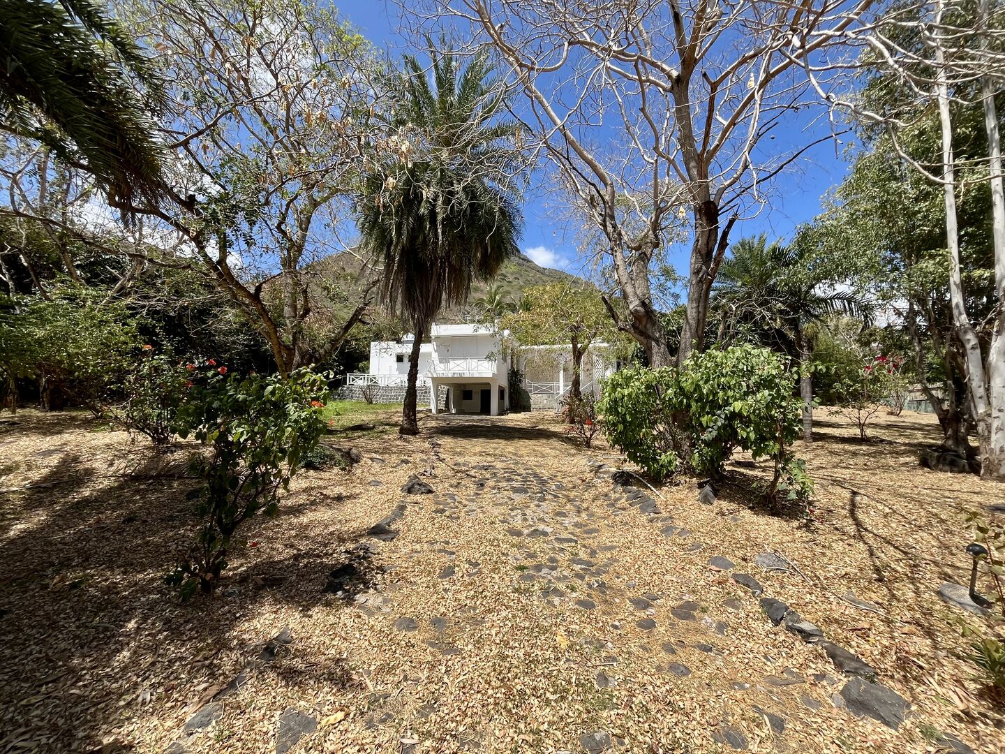 Residential land - Buy in Tamarin - 36,882,977 rupees | Lexpress Property