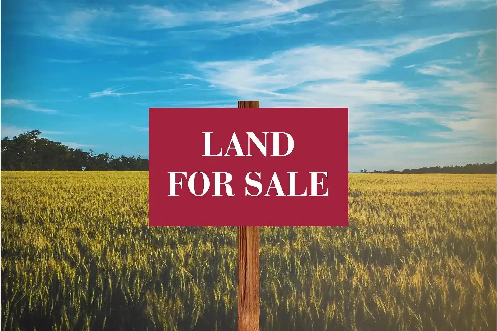 Residential land - Buy in Phoenix - 4,000,000 rupees | Lexpress Property