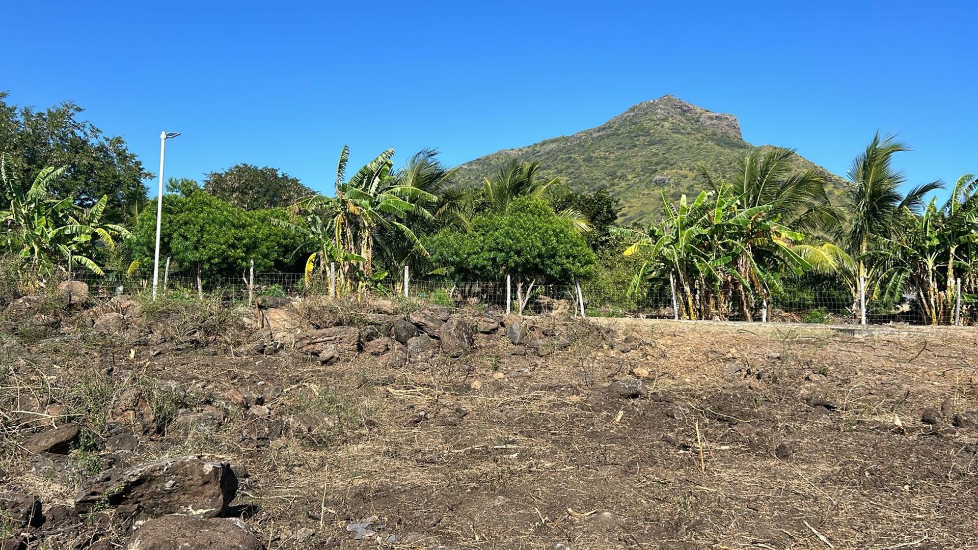 Residential land - Buy in Tamarin - 11,000,000 rupees | Lexpress Property