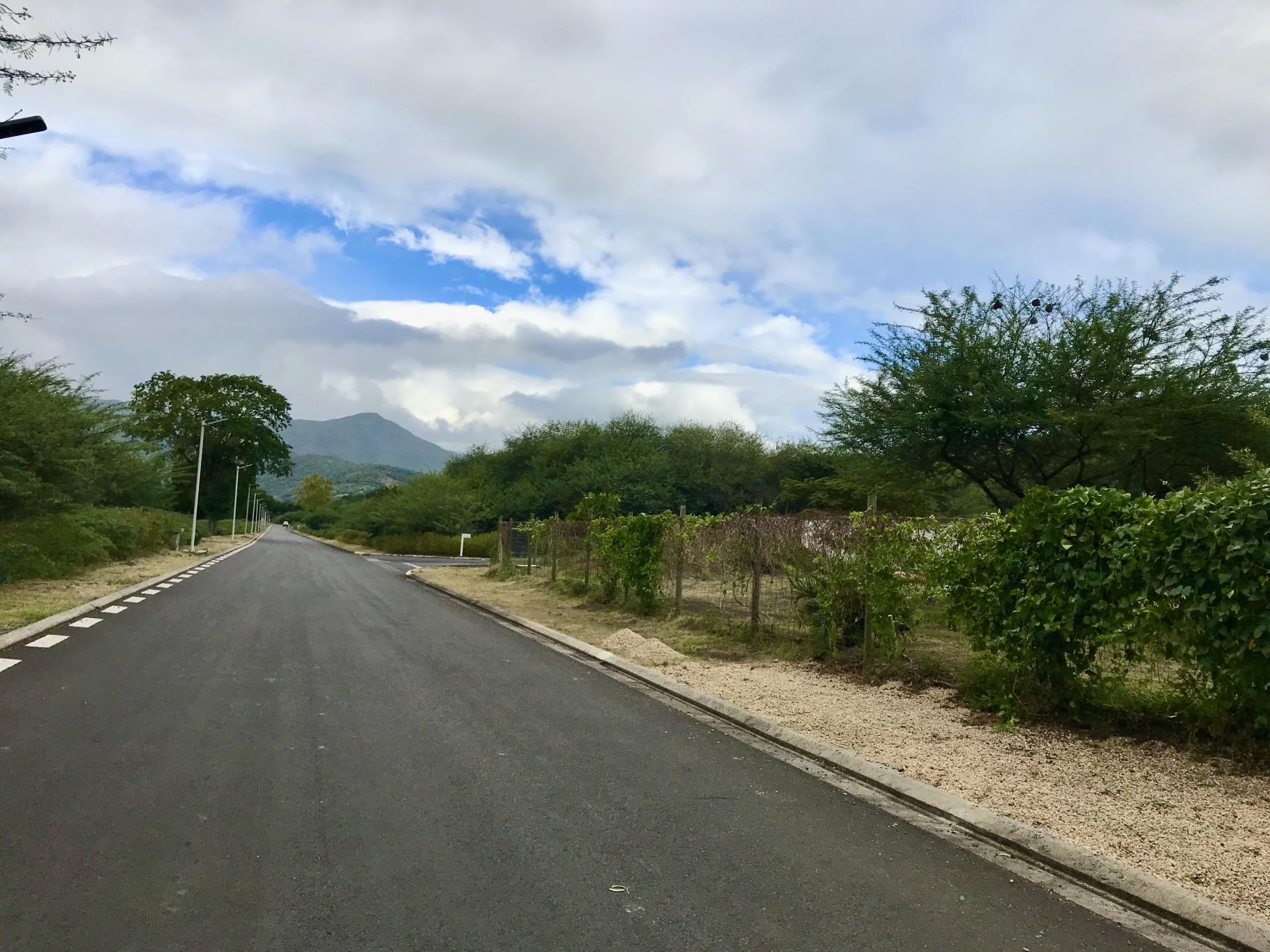 Residential land - Buy in Tamarin - 8,700,000 rupees | Lexpress Property