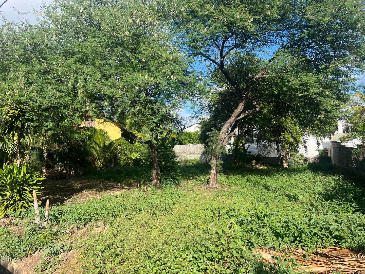 Residential land - Buy in Tamarin - 11,500,000 rupees | Lexpress Property