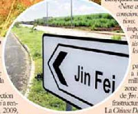 Jin Fei : le premier bâtiment sortira de terre en juillet - Lexpress ...