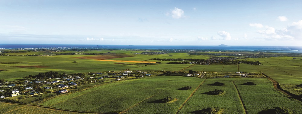 Mont Piton 3 : Un lotissement pour un art de vivre authentique ...