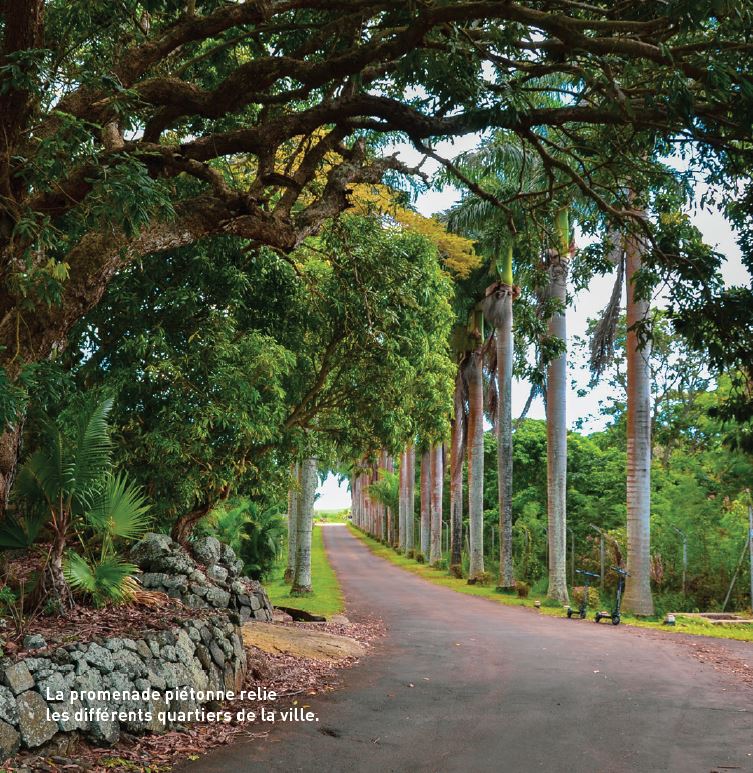 Beau Plan Smart City: Update on the development of the project ...