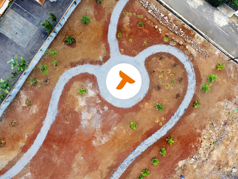 Transinvest Construction Limited reforests 14 sites at Black ...