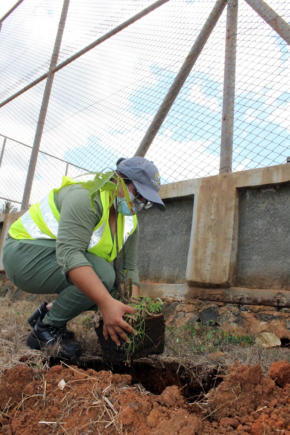 Transinvest Construction Limited reboise 14 sites à Rivière-Noire ...