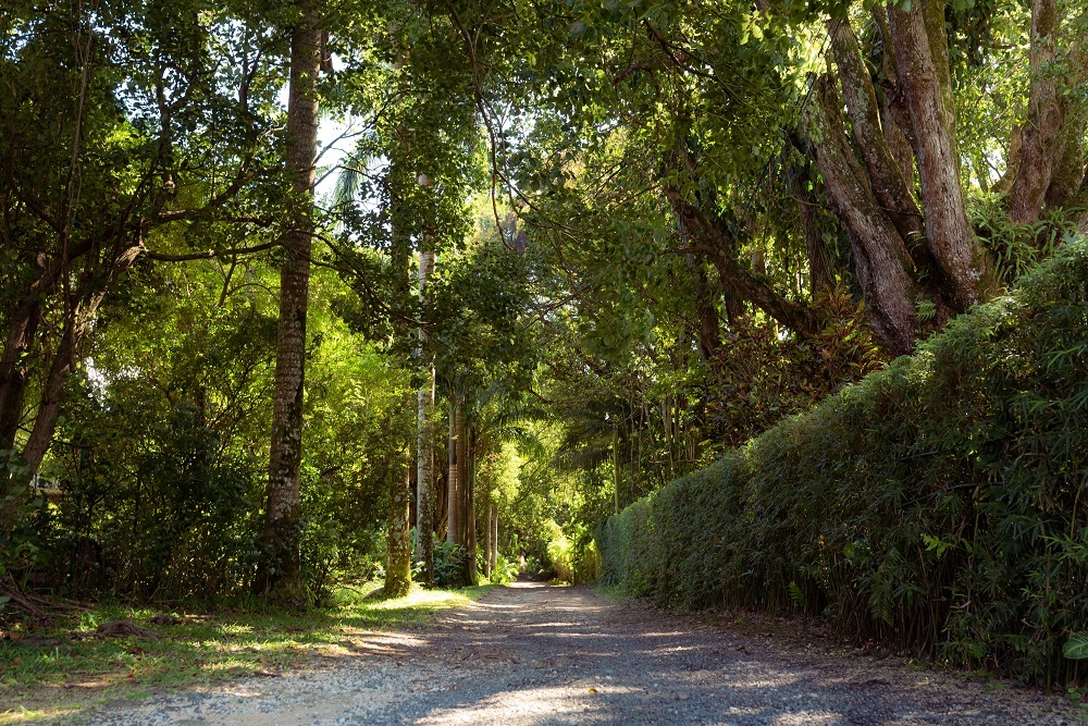 Live closer to nature with Riverwalk - Lexpress Property