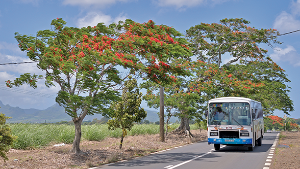 Real estate projects - Smart City - Beau Plan: Creative and Innovative ...