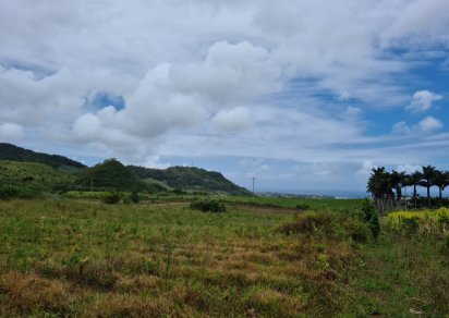 Buy Agricultural land Mauritius - Agricultural land for sale Mauritius ...