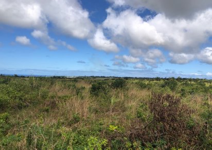 Buy Agricultural land Mauritius - Agricultural land for sale Mauritius ...