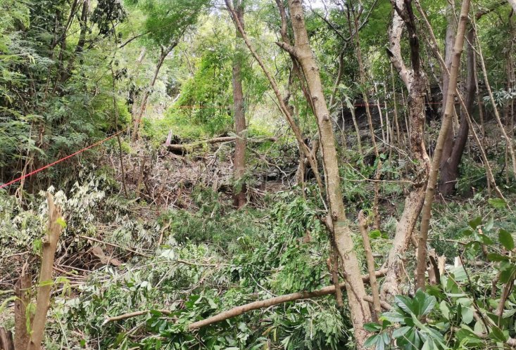 Agricultural land - Buy in Quatre Soeurs - 1,600,000 rupees | Lexpress Property