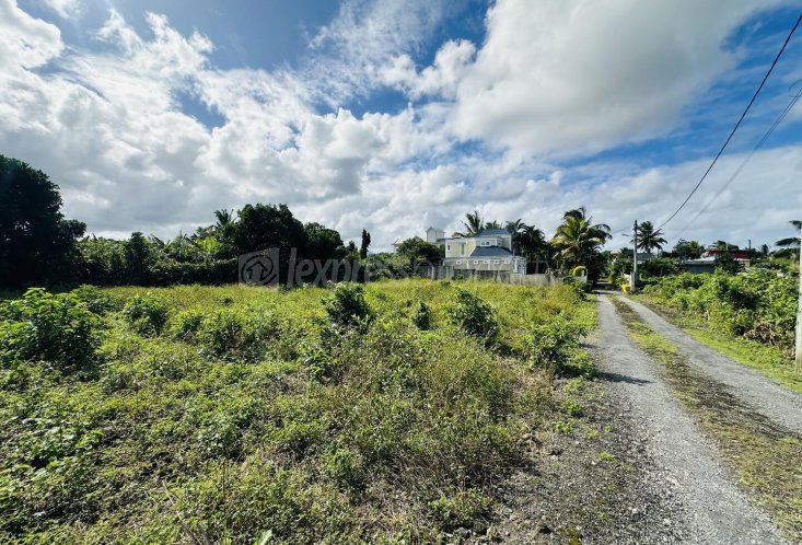 Residential land - Buy in Mare d'Albert - 6,000,000 rupees | Lexpress ...