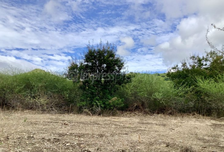 Residential land - Buy in Tamarin - 11,000,000 rupees | Lexpress Property