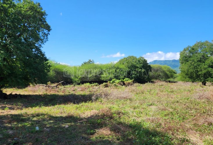Residential land - Buy in Tamarin - 12,000,000 rupees | Lexpress Property