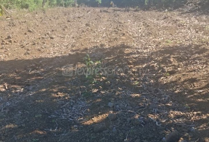 Residential land - Buy in Cap Malheureux - 8,200,000 rupees | Lexpress ...