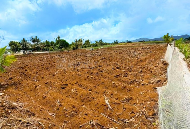 Residential land - Buy in Lallmatie - 7,500,000 rupees | Lexpress Property