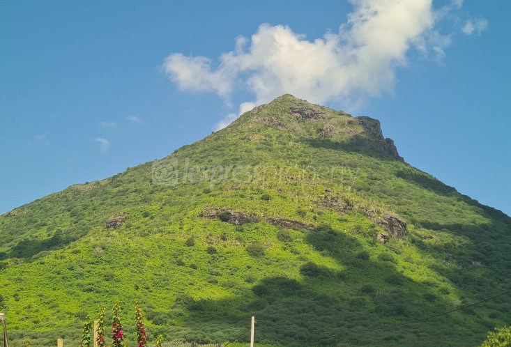 Residential land - Buy in Tamarin - 19,500,000 rupees | Lexpress Property