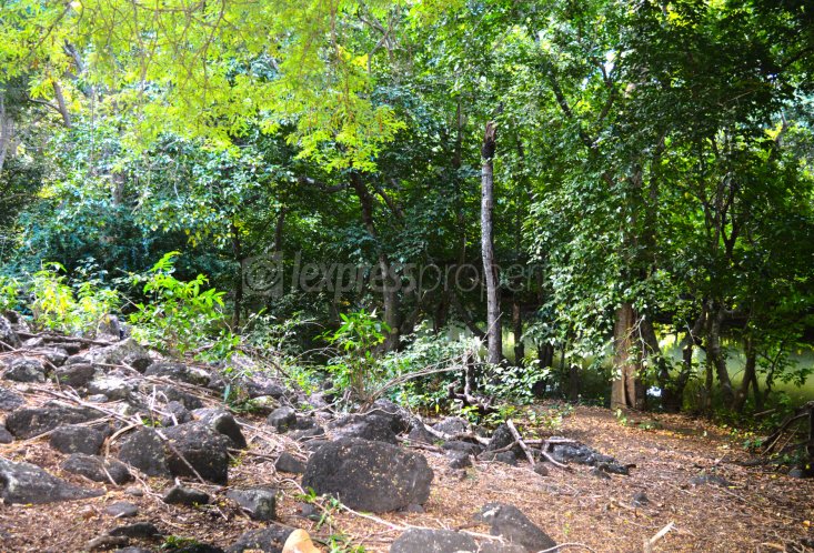 Residential land - Buy in Tamarin - 20,000,000 rupees | Lexpress Property