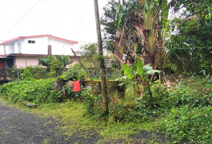 Residential land - Buy in Grand Bois - 1,500,000 rupees | Lexpress Property